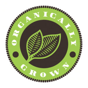 Wholesale Full Spectrum CBD Products & Services | Bulk CBD Oil